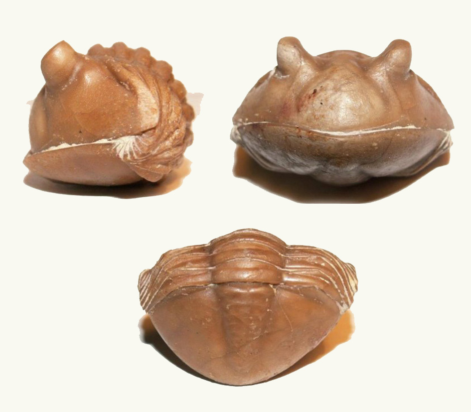 Азафус